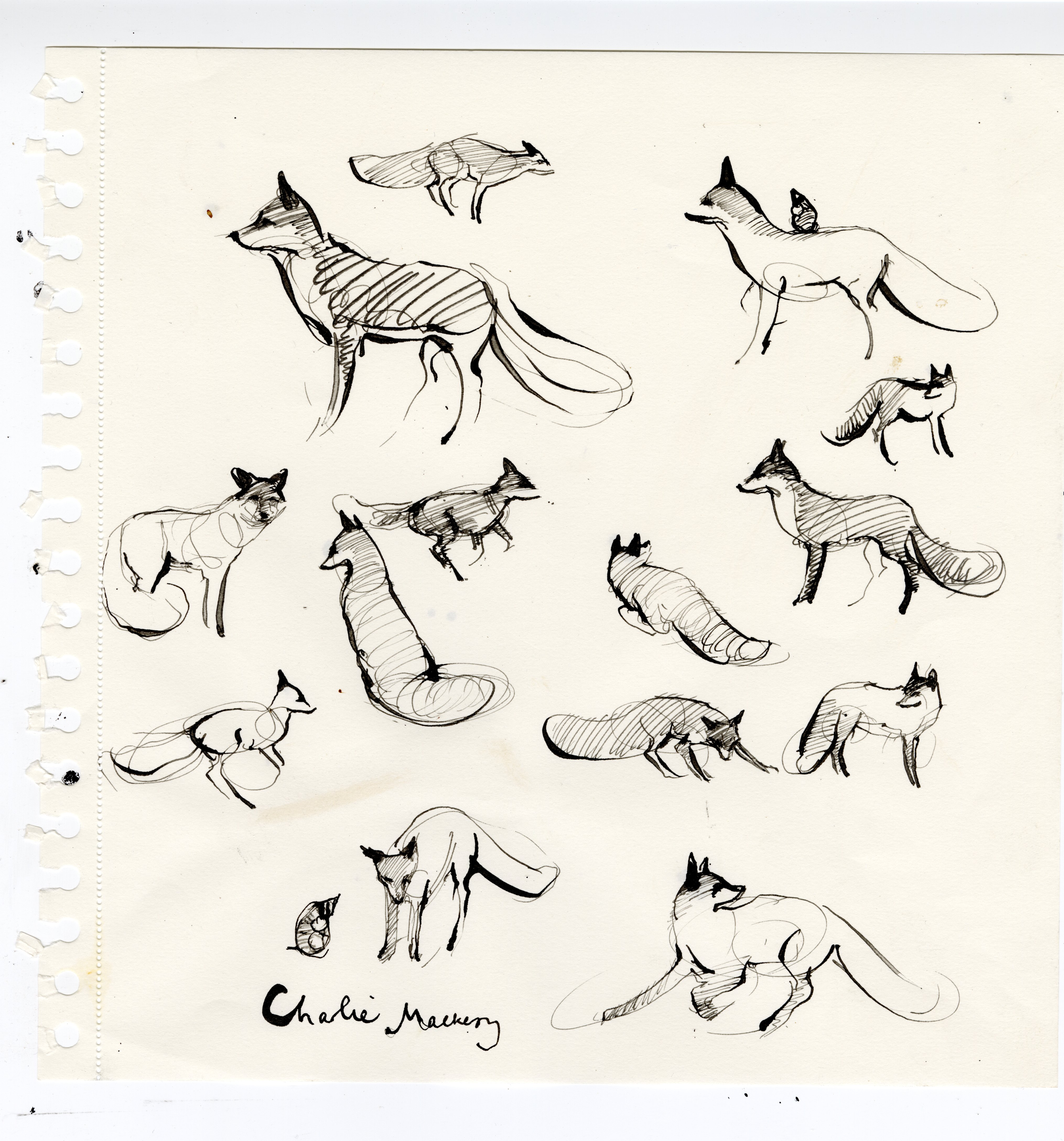 Charlie Mackesy Brings His Magic to Sotheby’s | Sotheby’s Magazine ...