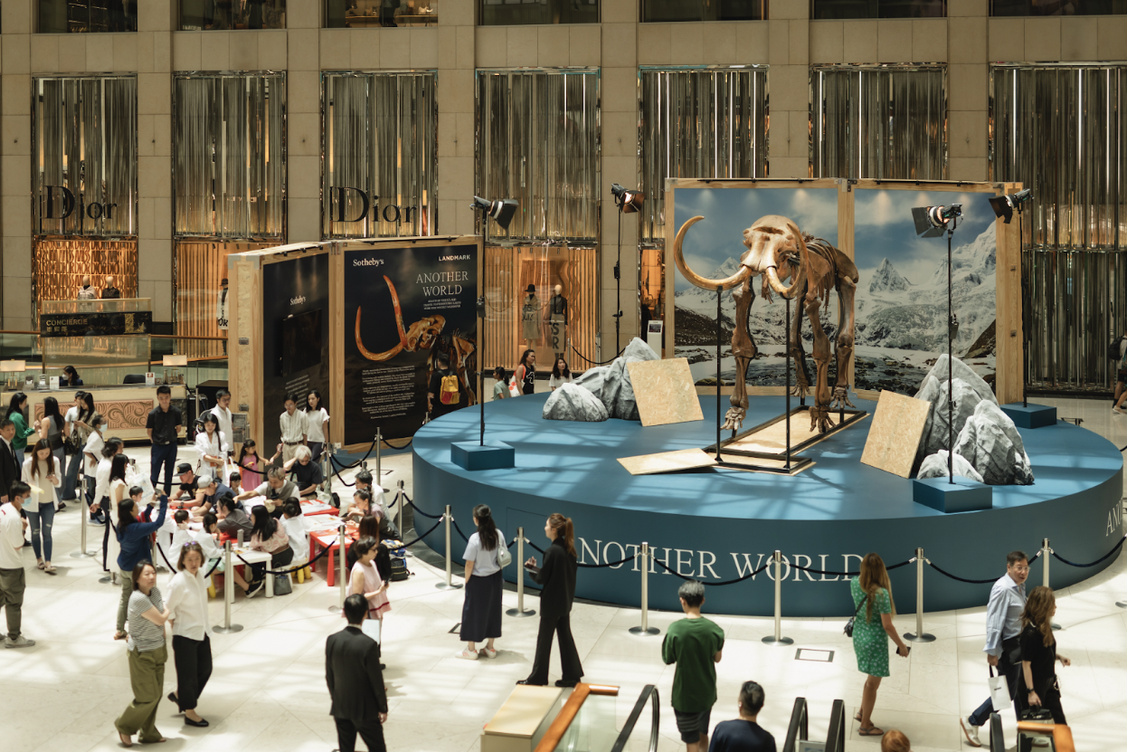 Workshop for Young Explorers in Hong Kong | Natural History | Sotheby’s