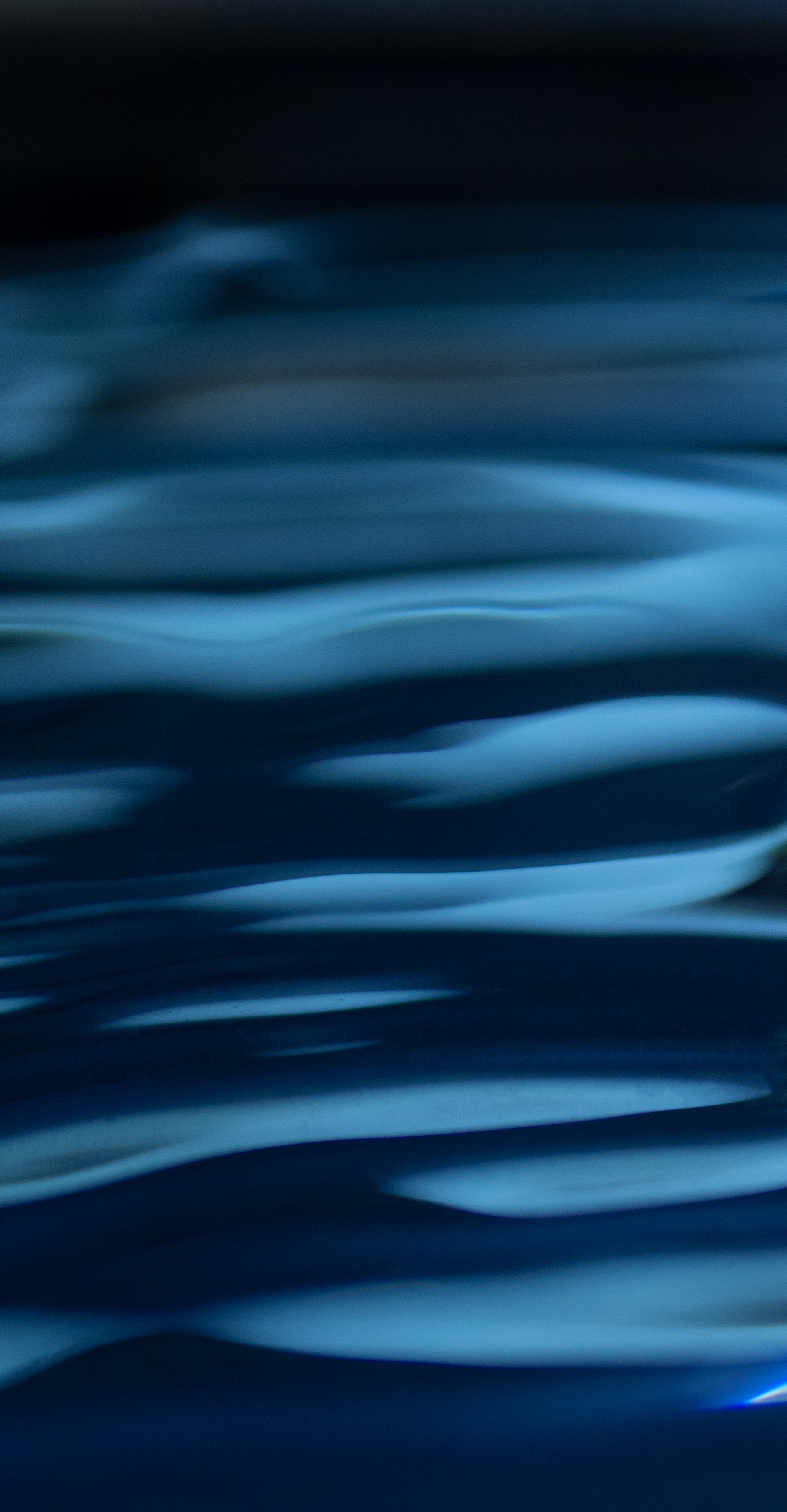 Dazzled By The Infinite Blue: A Story Of A Colour Through Art History ...