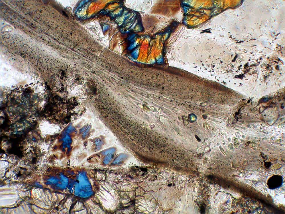 Journey to the Moon: How Glass Got Us There