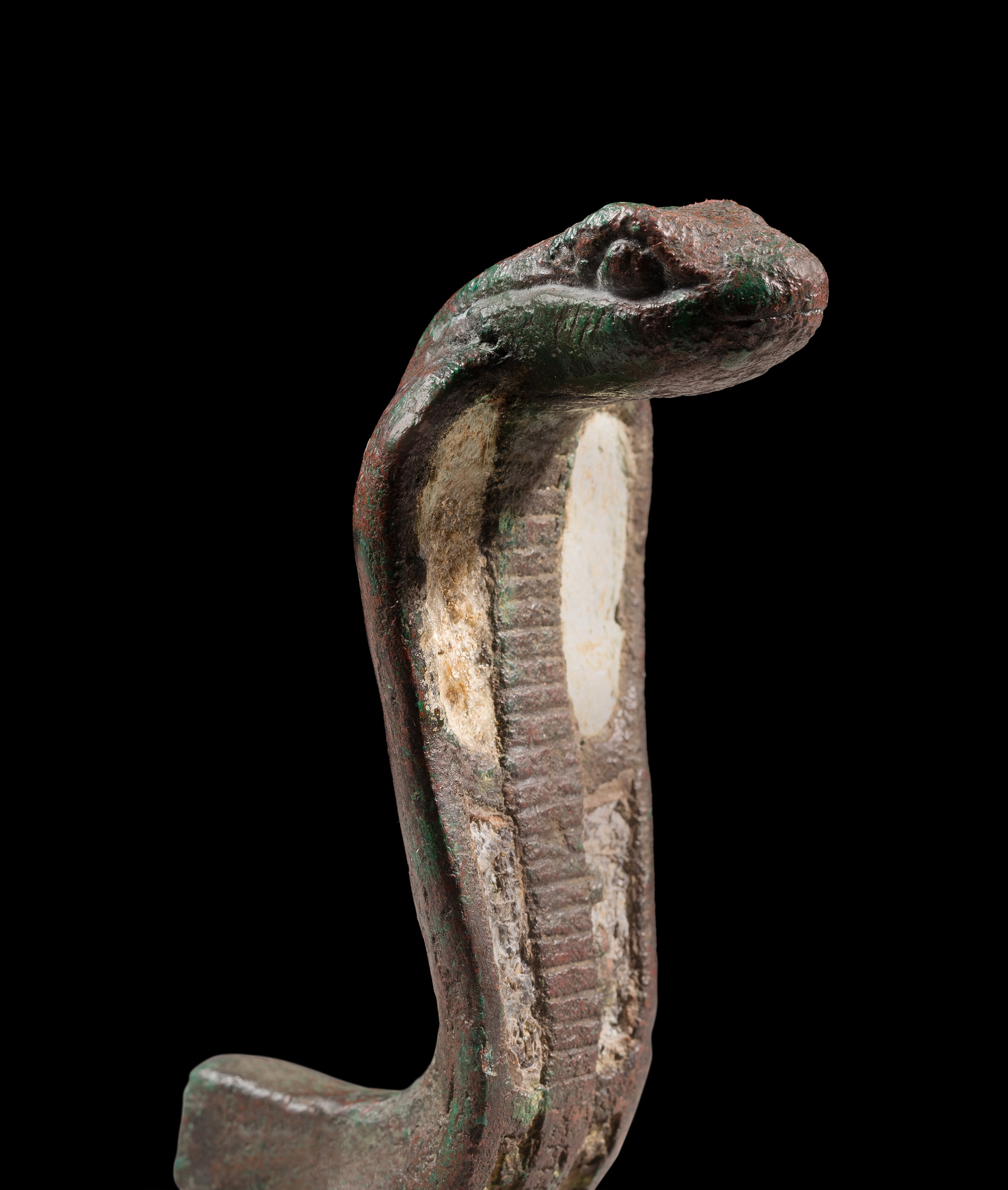 Serpenti Terrificanti