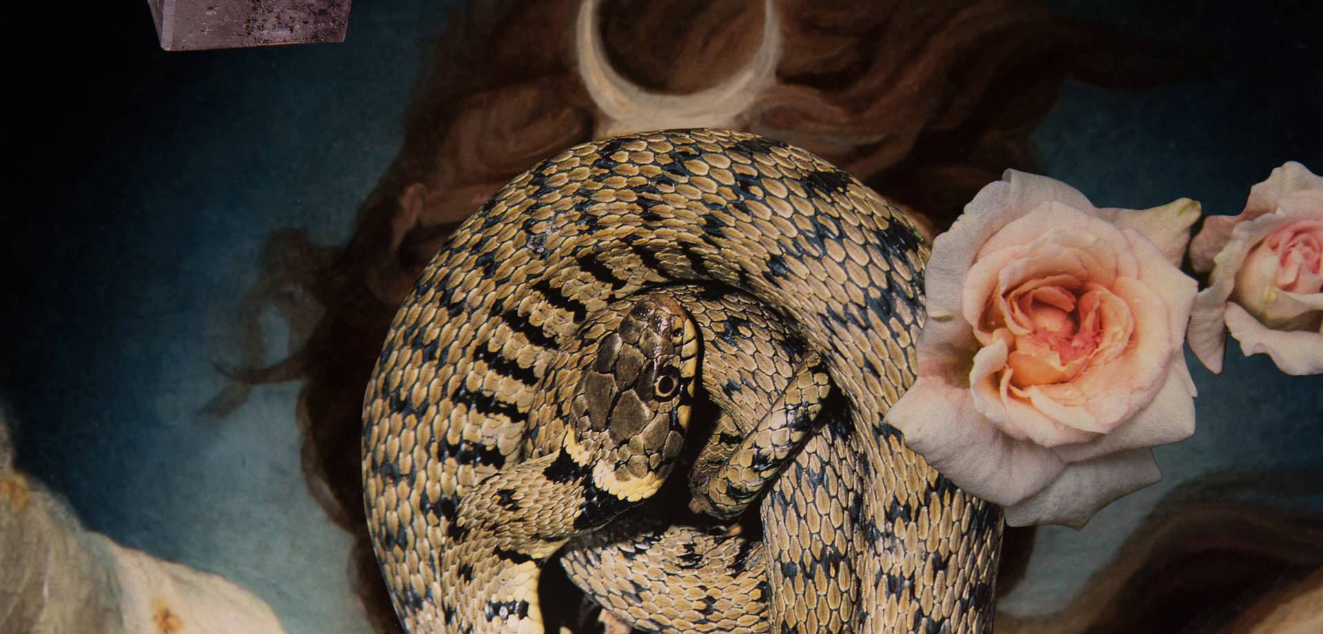 Linder Sterling: 7 Things You Need To Know | Contemporary Art | Sotheby’s