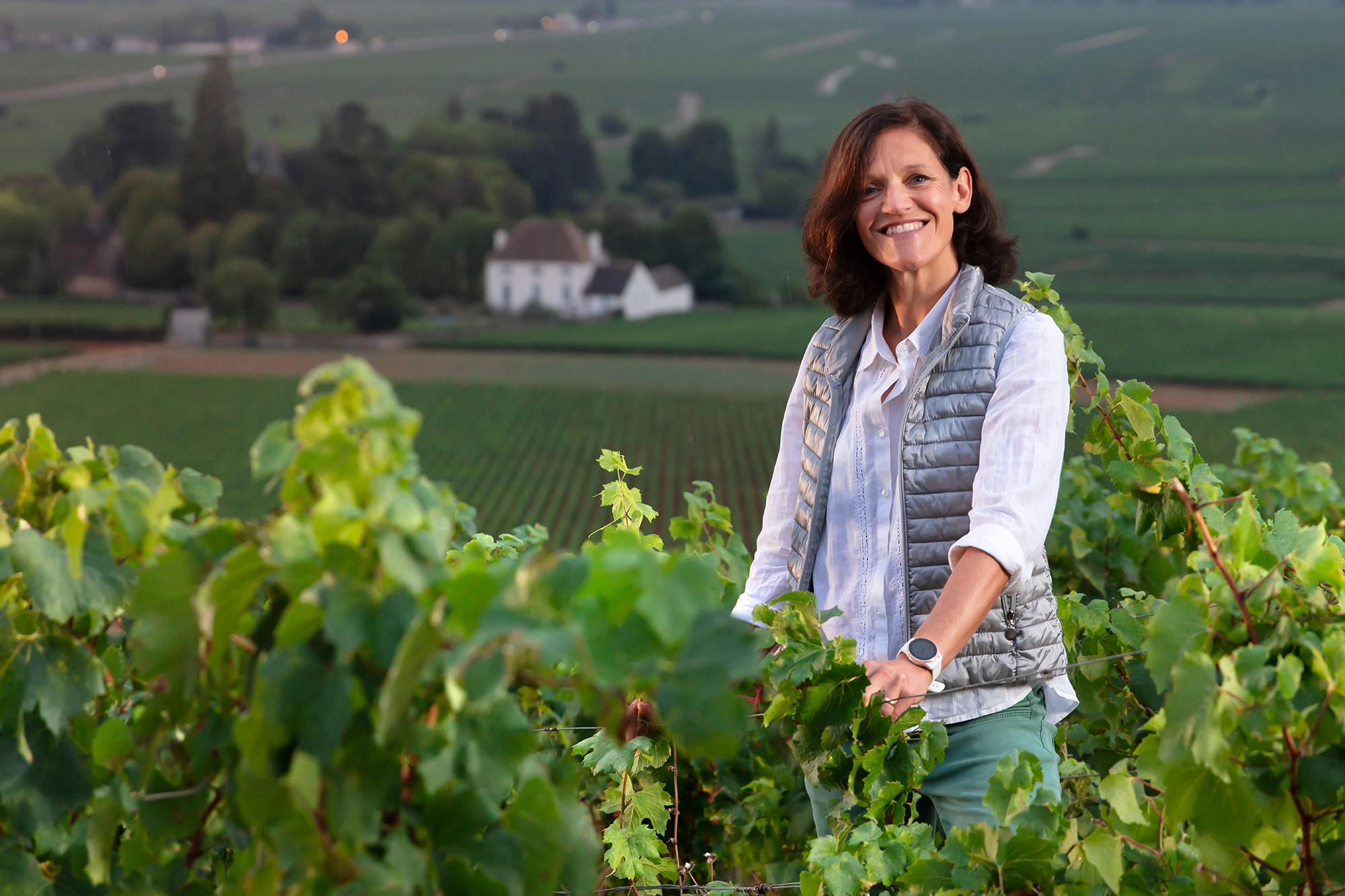 Sustainable Excellence: Beaune’s Visionary Winemaker | Wine | Sotheby’s