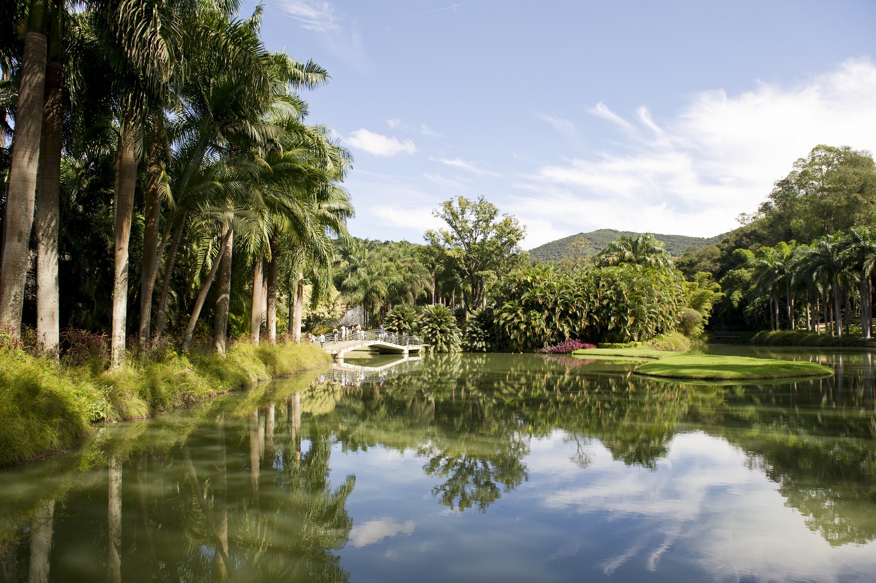 Instituto Inhotim