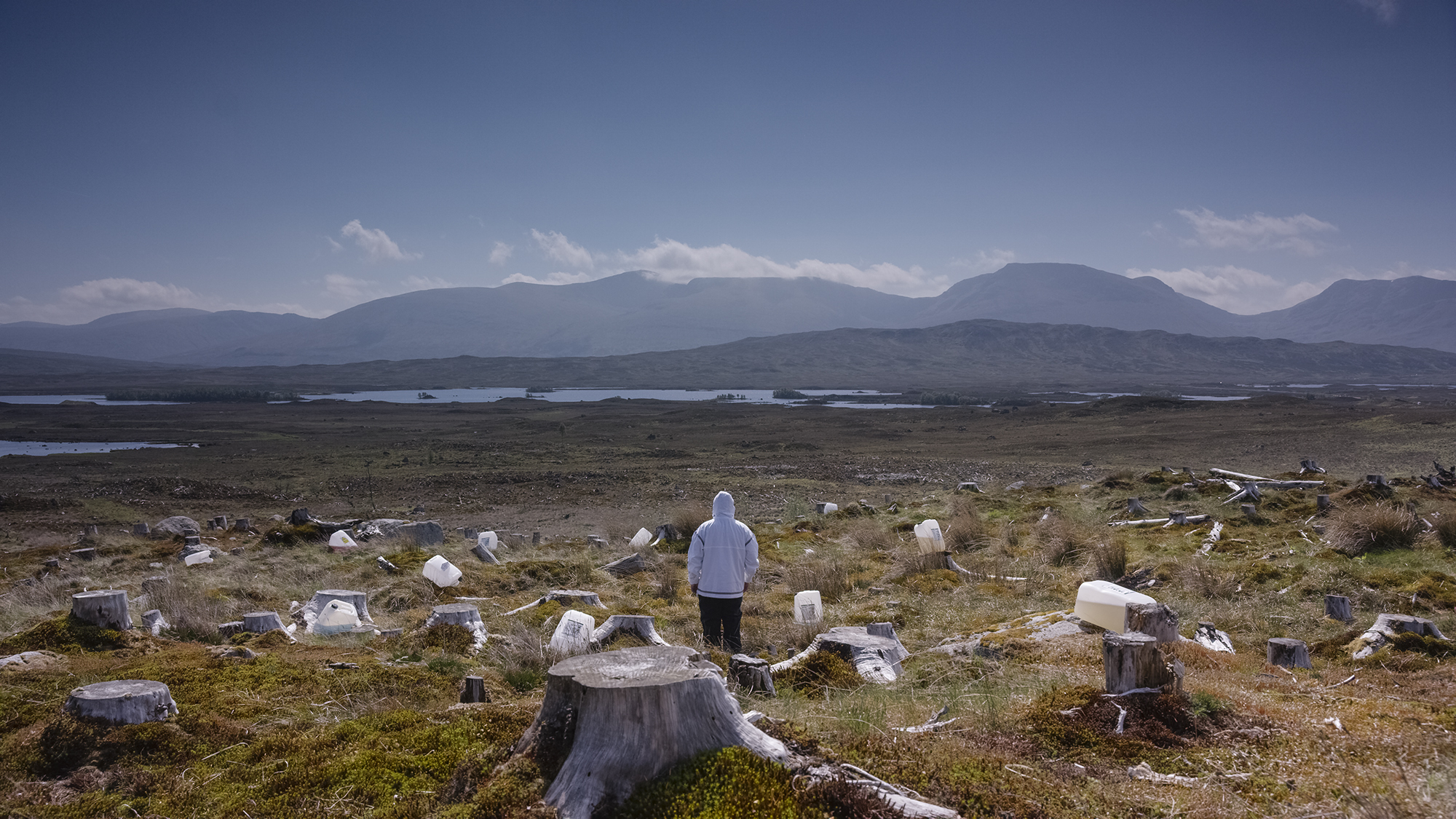 The Coming World: Ecology as the New Politics 2030–2100