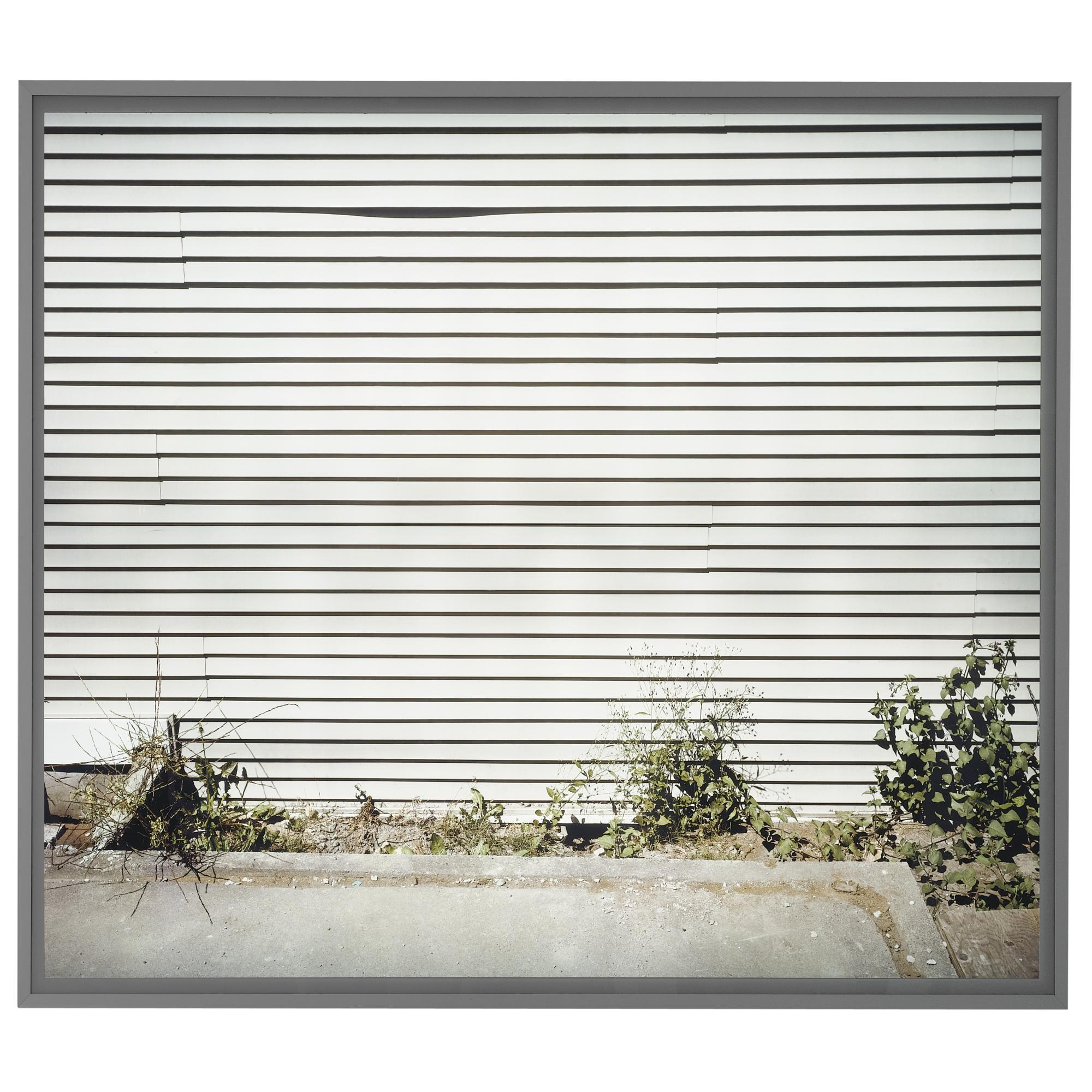 Jeff Wall | Art for Sale, Results & Biography | Sotheby’s