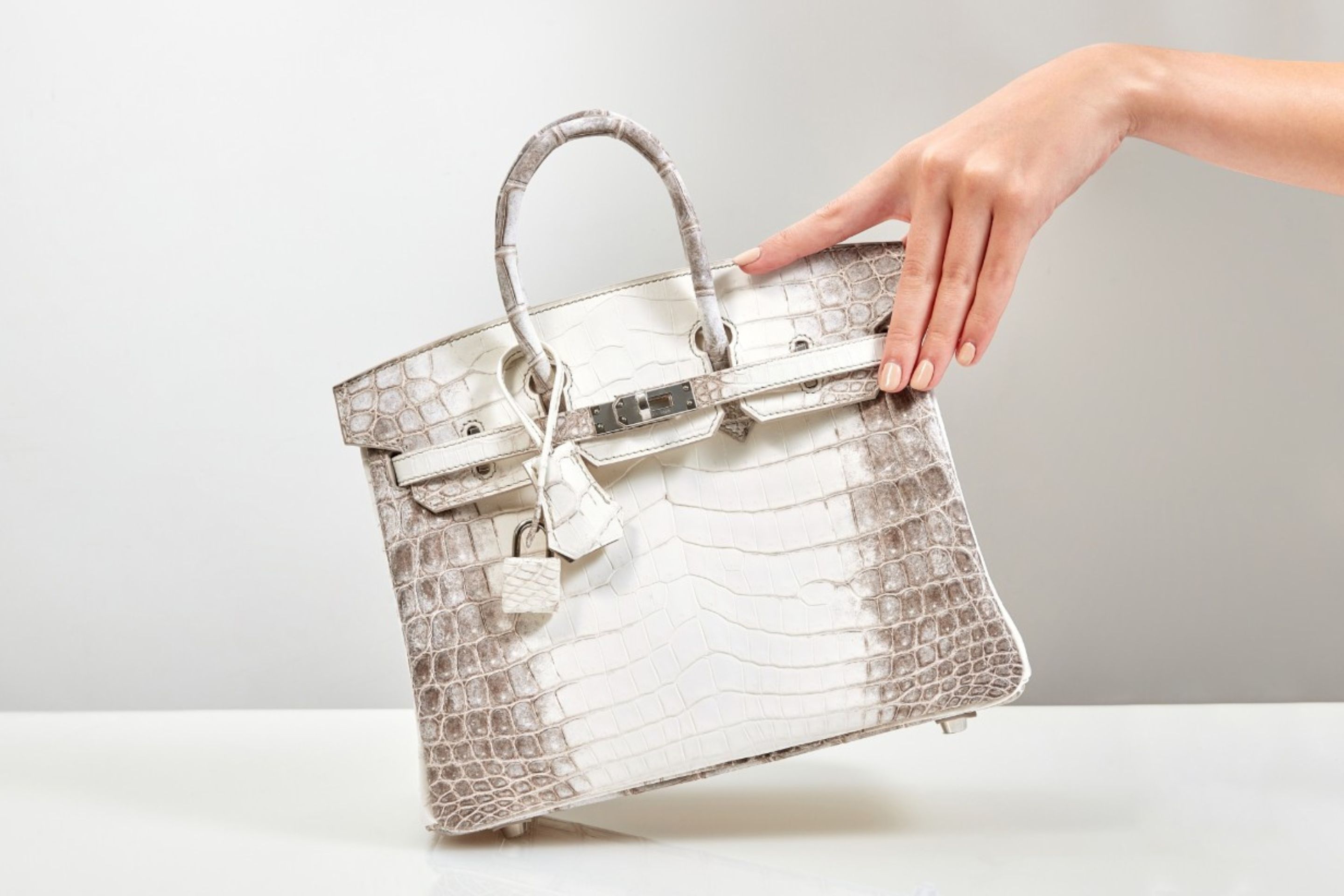 Complete Buying Guide: Hermès Himalayan Birkin | Handbags & Fashion ...