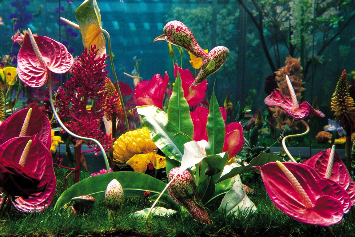 Marc Quinn: Fragments of Time | Contemporary Art | Sotheby’s