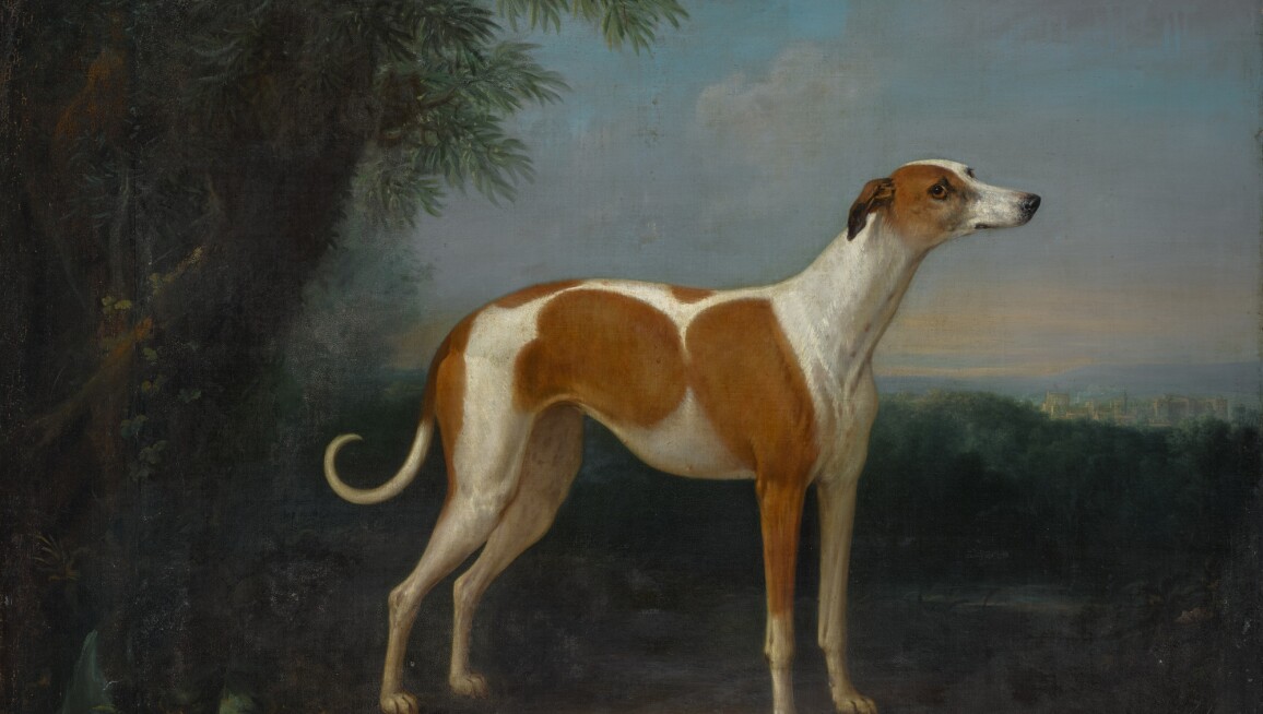 It's a Dog's Life: Canine Portraits & Scenes from Old Master Paintings ...
